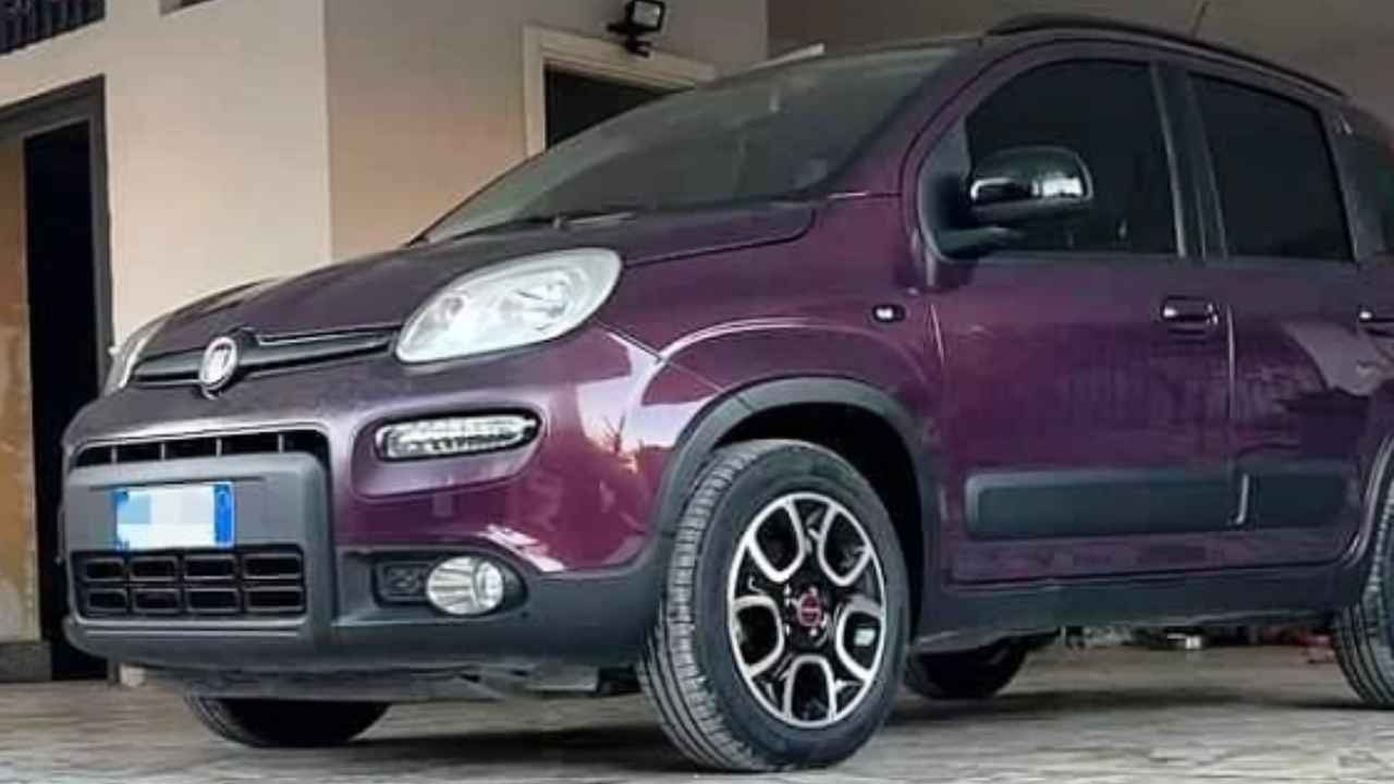 Fiat Panda, sarà rivoluzione: pronto un nuovo e imperdibile modello